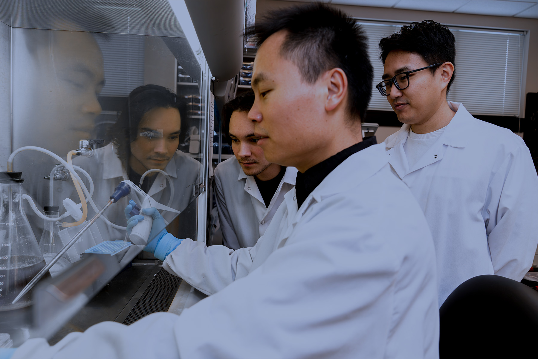 Baruch S. Blumberg Institute – Est. by the Hepatitis B Foundation