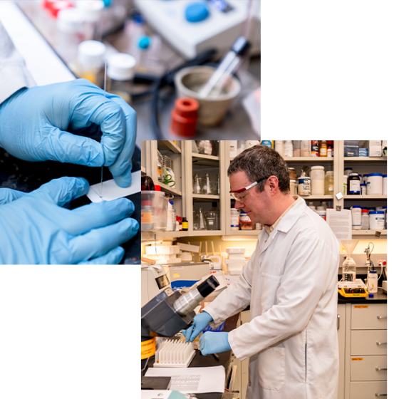 Baruch S. Blumberg Institute – Est. by the Hepatitis B Foundation